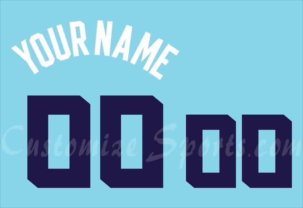 Basketball Charlotte Hornets Customized Number Kit for 2014-2015 ...