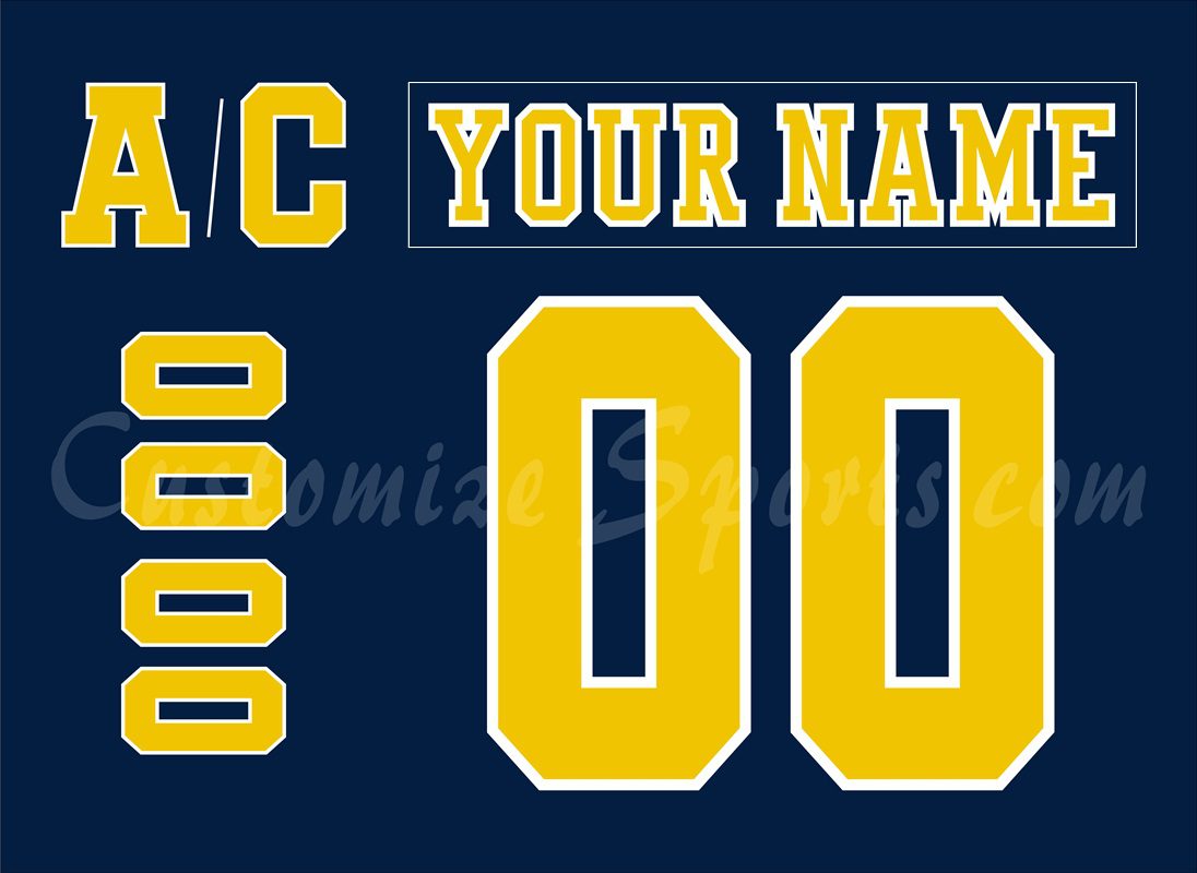 NCAA Michigan Wolverines Customized Number Kit 2018-2019 Away Hockey ...